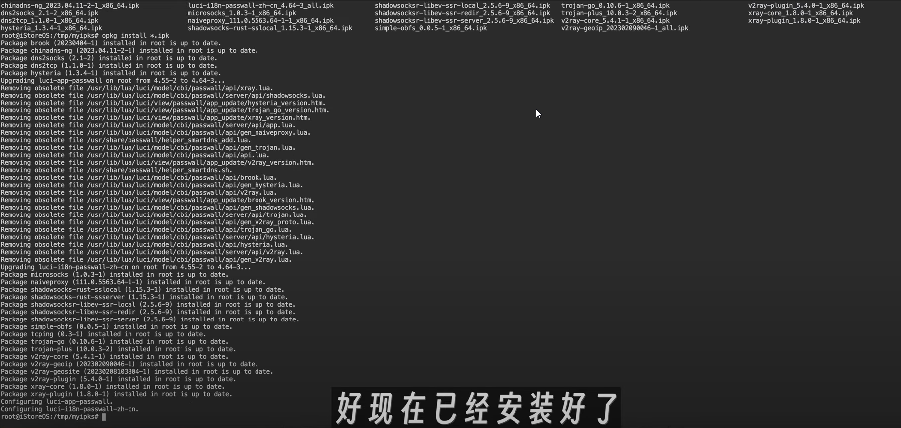 passwall配置 升级 负载均衡
